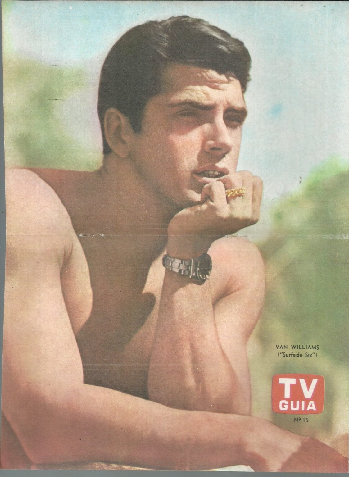 Poster Tv Guia N°15 -VAN WILLIAMS- SURFSIDE SIX